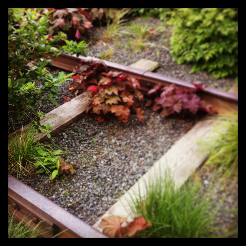 Urban Escapes: Finding Nature in the Heart of Major Cities - For the ...