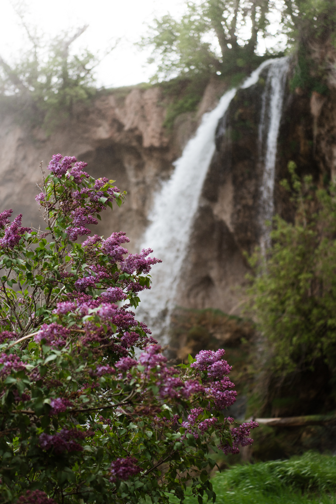 Rifle Falls State Park - For the Love of Wanderlust
