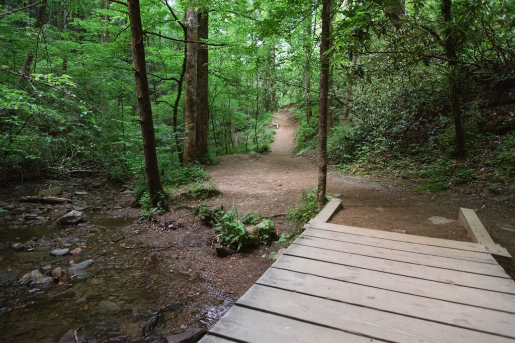 Moore Cove Falls Trail - Pisgah National Forest - For the Love of ...