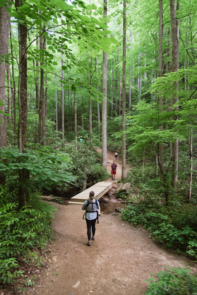 Moore Cove Falls Trail - Pisgah National Forest - For the Love of ...