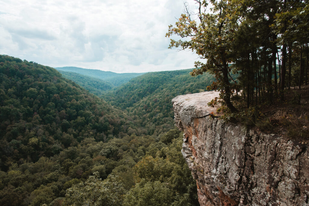 Hawksbill Crag Trail (Whitaker Point), Arkansas - For the Love of ...