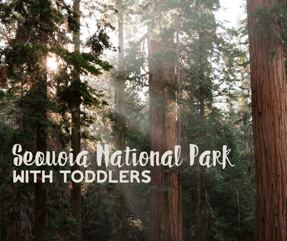 Our Guide to Sequoia National Park with Toddlers - For the Love of ...