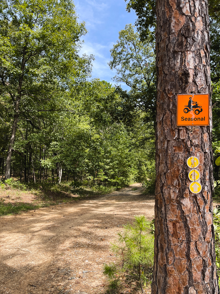 Exploring Beavers Bend State Park for Our 15th Annual Father/Daughter ...
