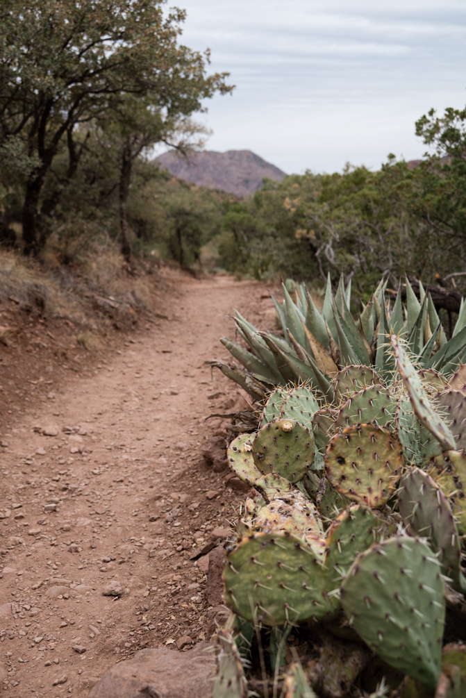 Lost Mine Trail in Big Bend National Park, Texas - For the Love of ...