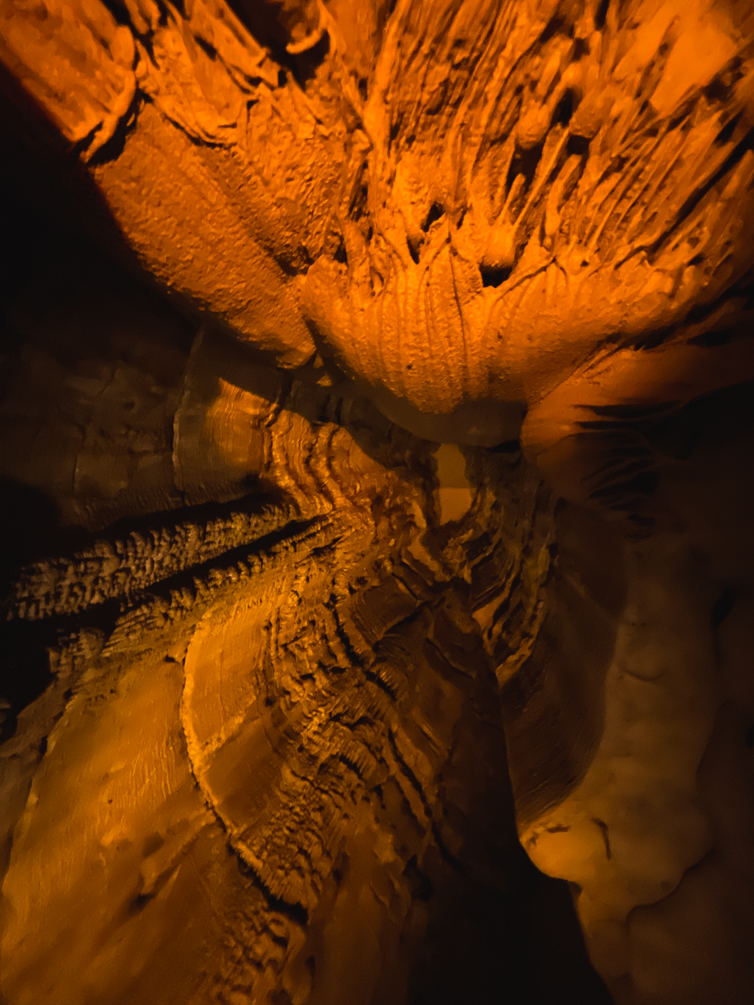 Things to Know Before Visiting Mammoth Cave National Park, Kentucky ...