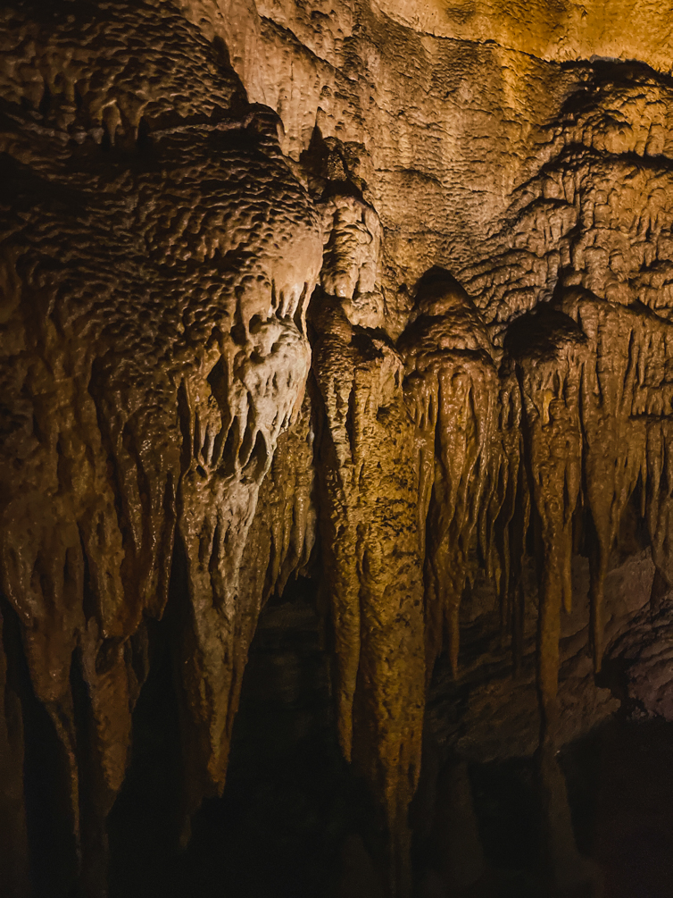 Things to Know Before Visiting Mammoth Cave National Park, Kentucky ...